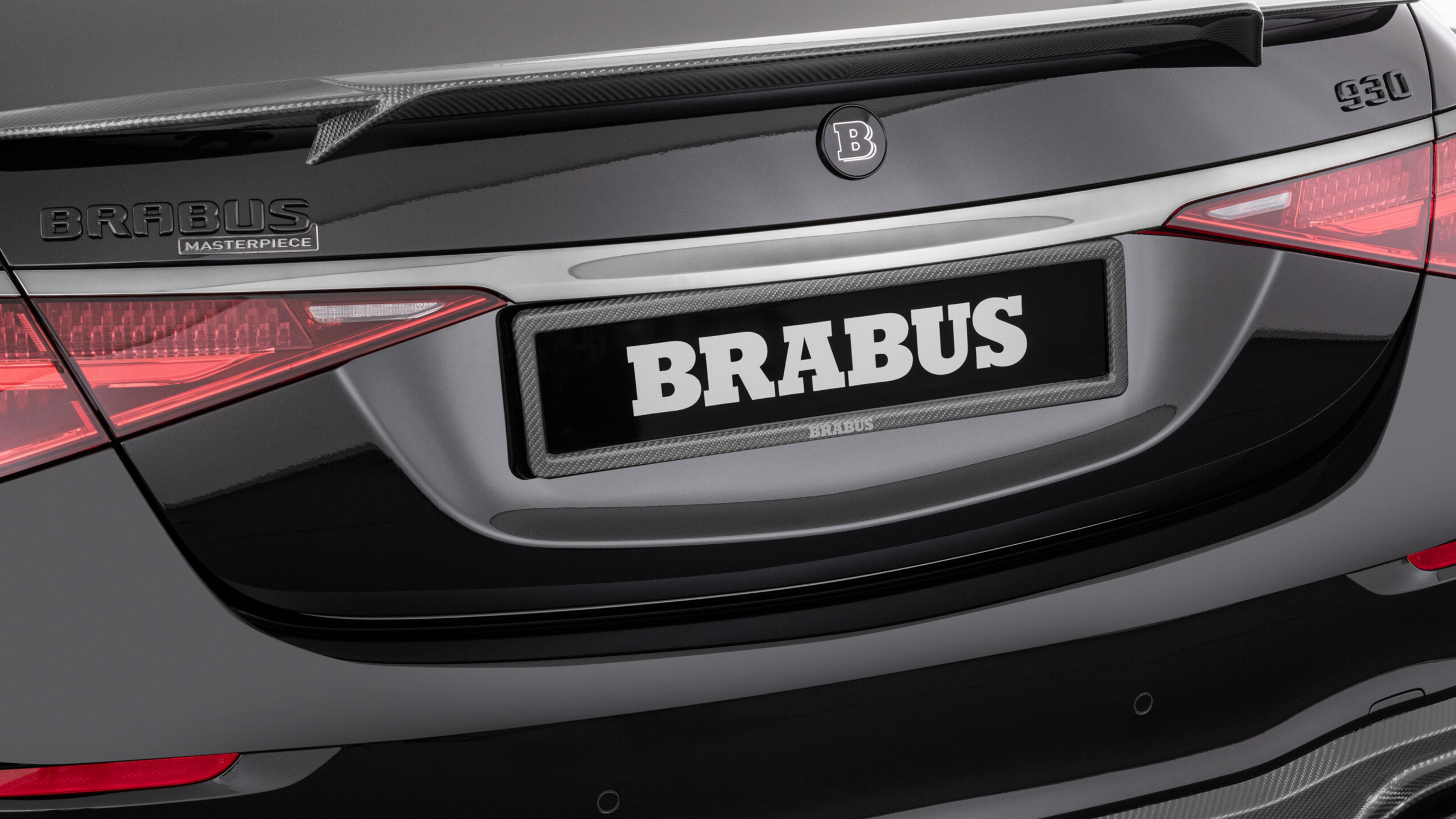 Carbon license plate holder Mercedes Z 223 Maybach S 580 / S 680