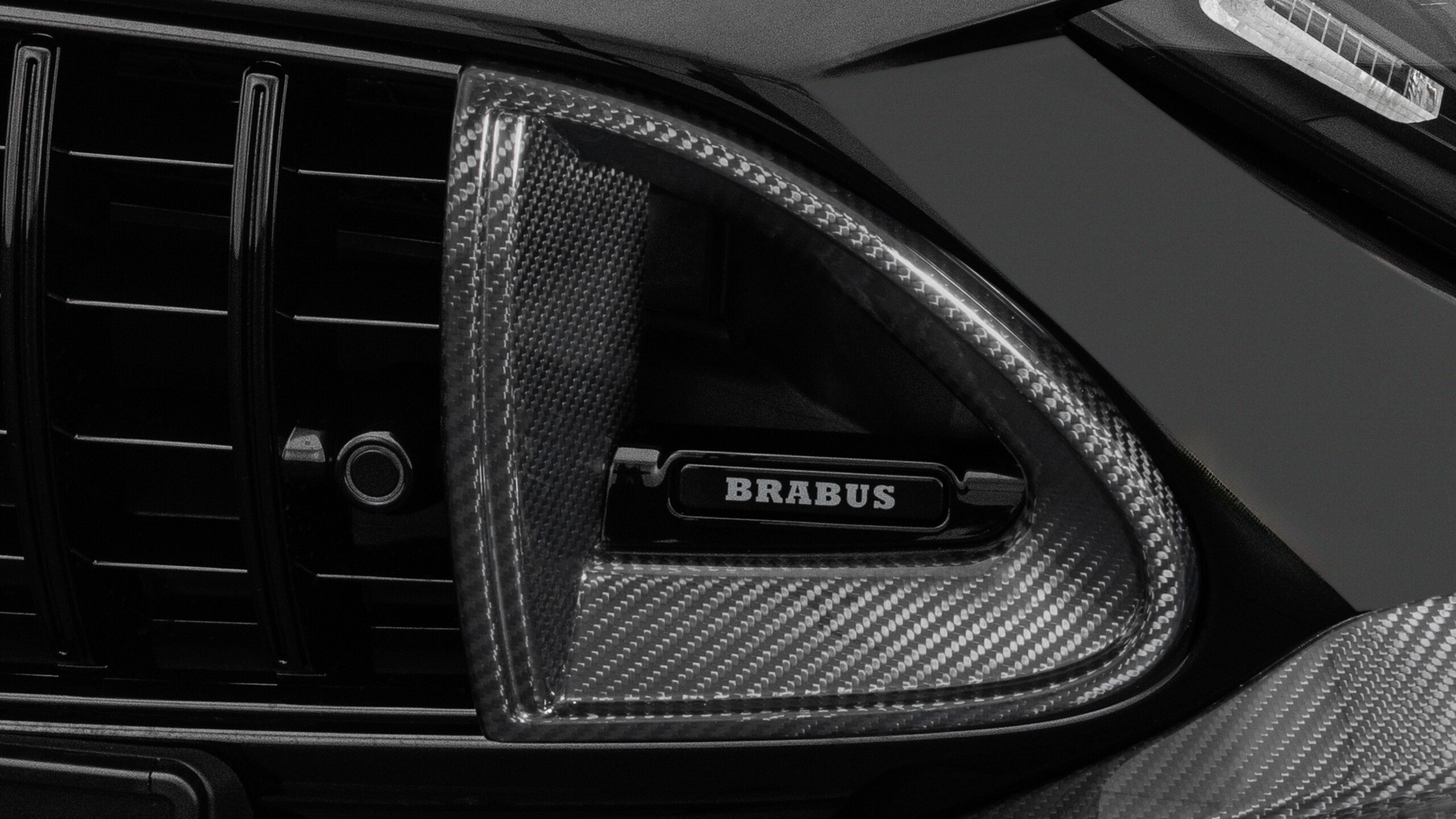 Carbon front grille inserts Mercedes R 232 AMG SL 63